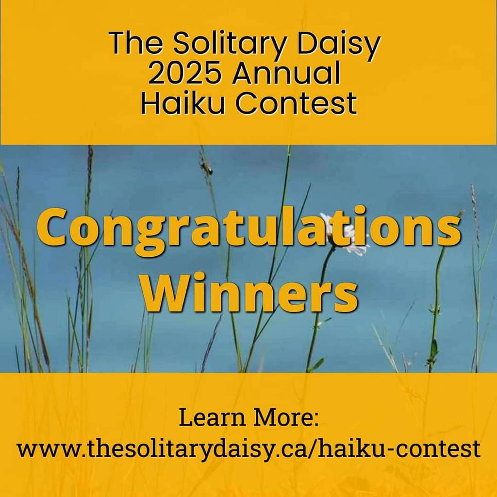 The Solitary Daisy Annual Haiku Contest - The Solitary Daisy